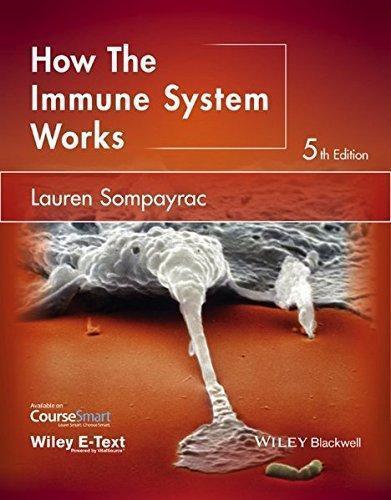 How The Immune System Works 5Th Edition – GIFTSQUALITY LTD