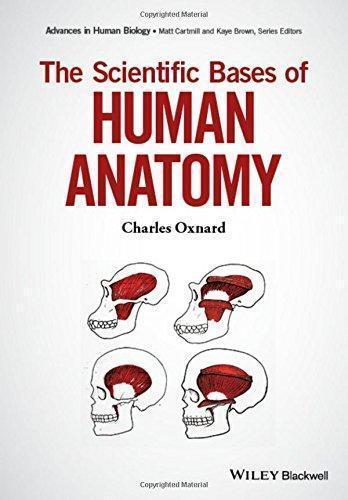 The Scientific Bases Of Human Anatomy – GIFTSQUALITY LTD